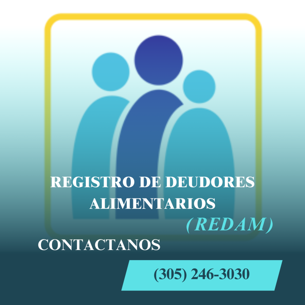 Registro de deudores alimentarios (REDAM)